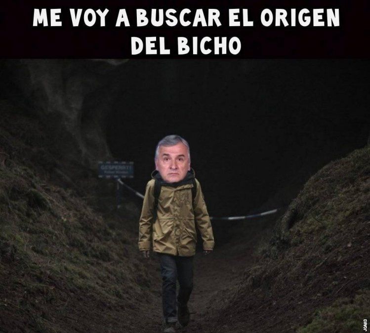 Un clásico: los memes que dejó el último informe del COE