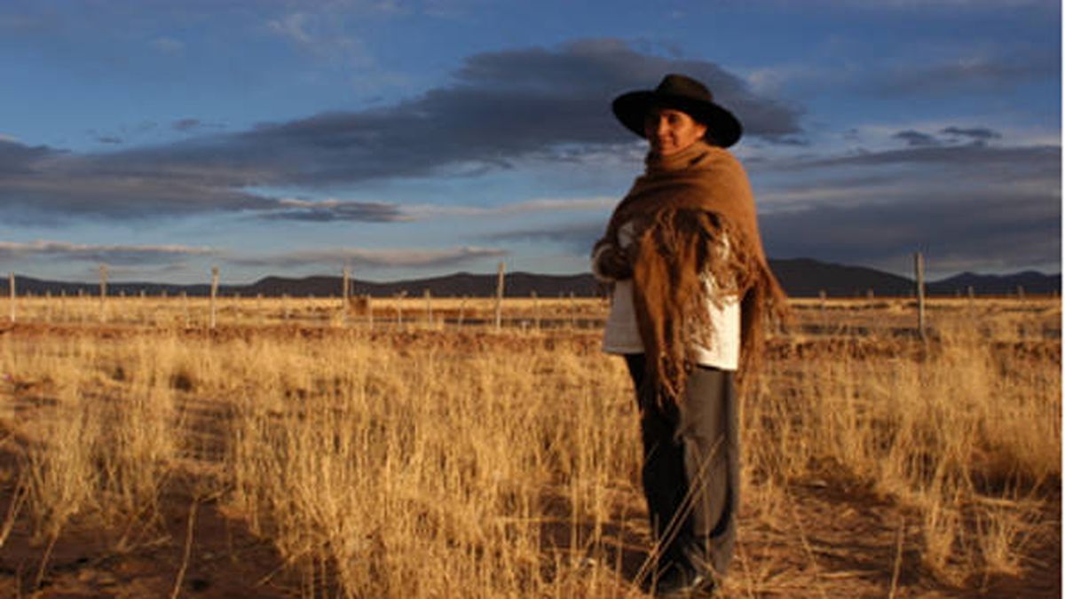 Rosario Quispe una aborigen emblemática y perseverante
