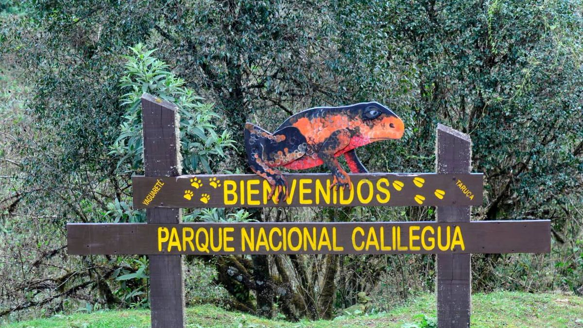 El Parque Nacional Calilegua cumple 44 años de existencia