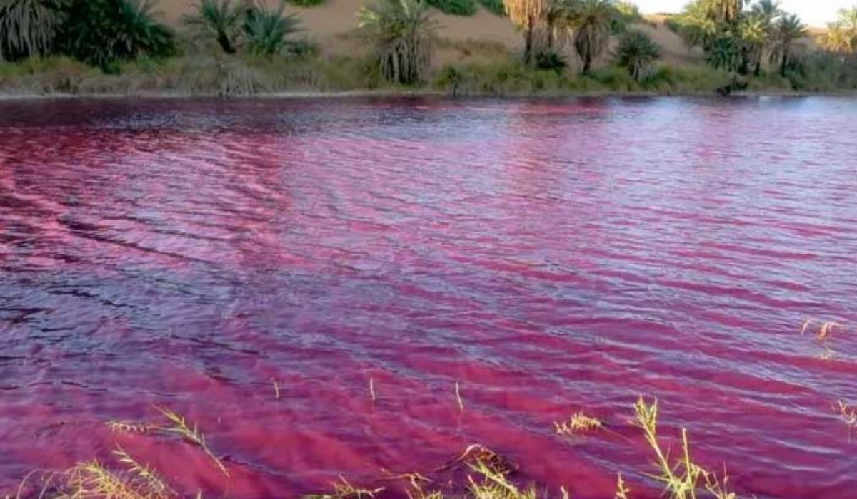 ¿Sangre en el Nilo?: El río se tiñe de rojo y causa conmoción en redes ...