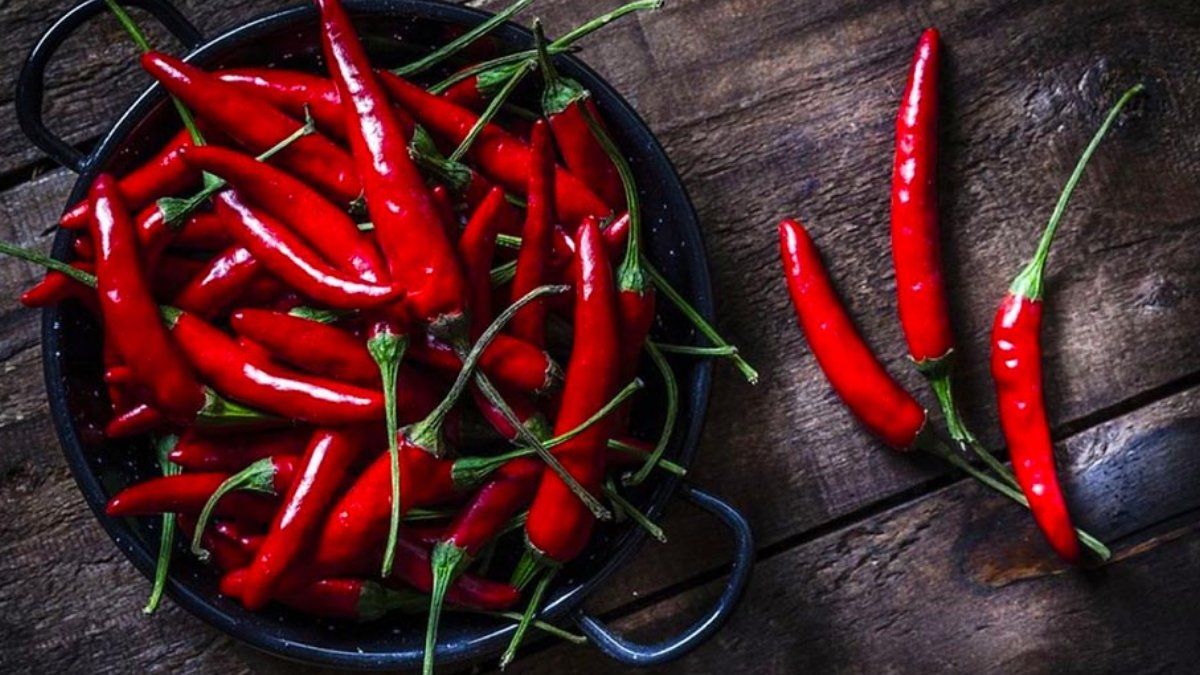 Las múltiples bondades curativas del ají