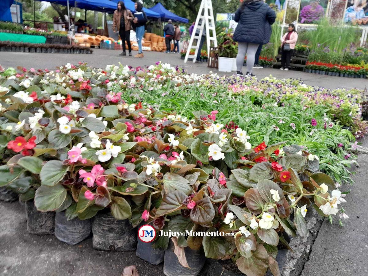 Comenzó La Flor más bella: se podrá disfrutar de la expo hasta el domingo