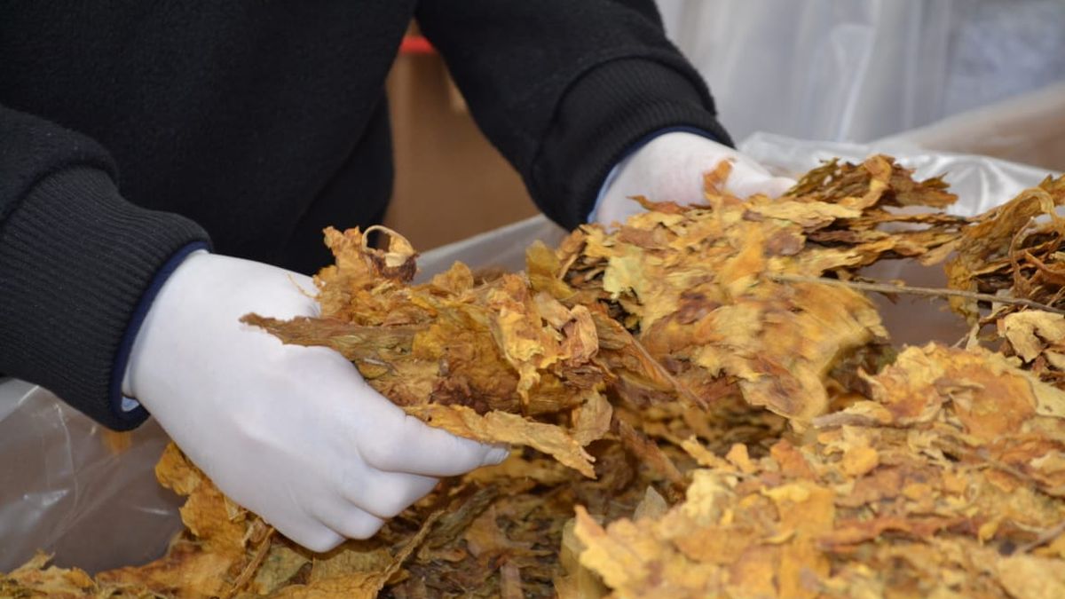 Se acordó un aumento del 120% en el precio del tabaco