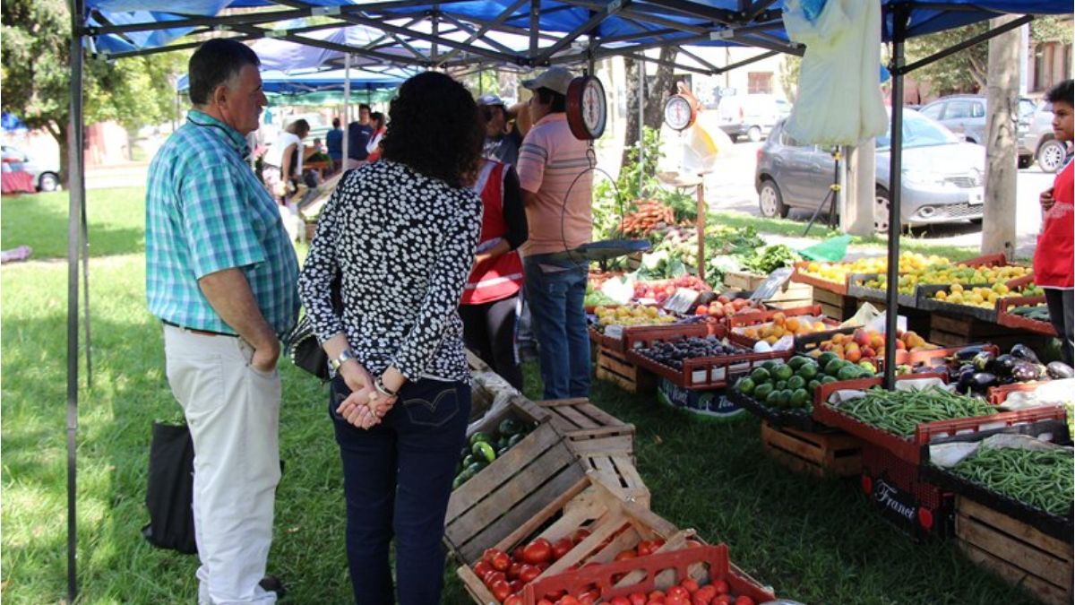 Vuelve la feria de alimentos a bajo costo en barrios capitalinos: el ...