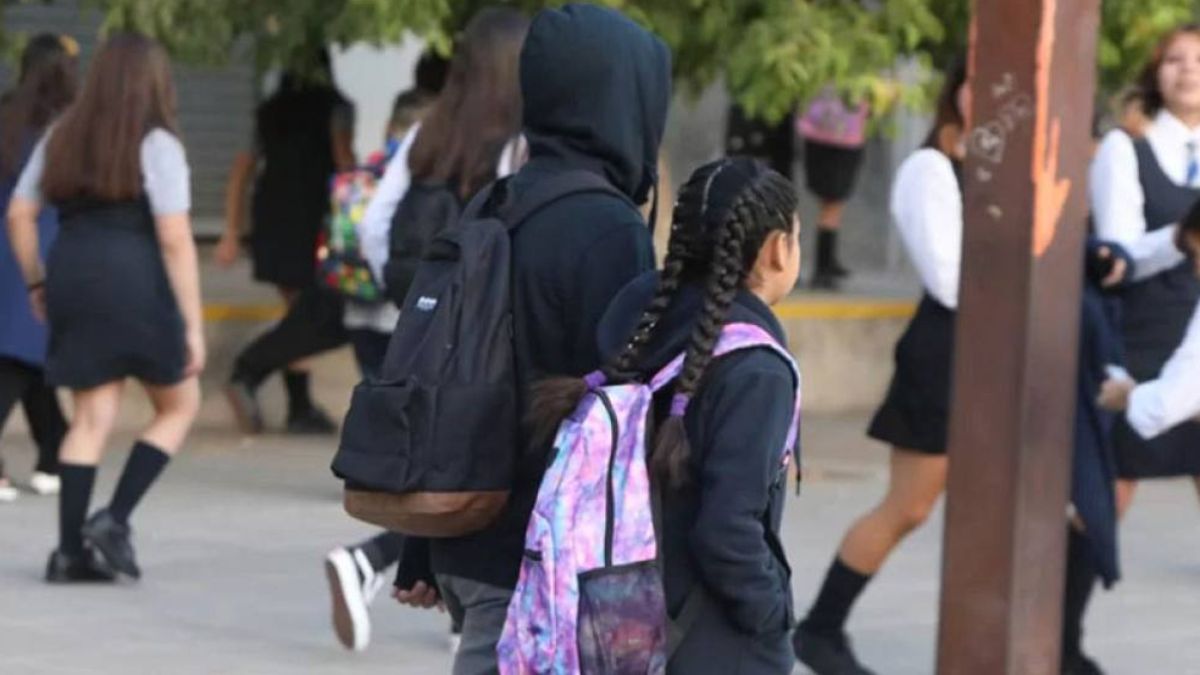 Vacaciones de invierno: cuándo empieza el receso escolar en cada provincia