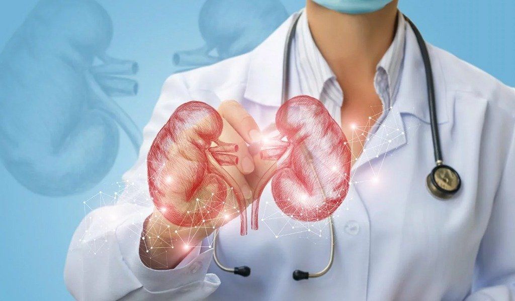 Día Mundial Del Riñón “salud Renal Para Todos Y En Todas Partes”