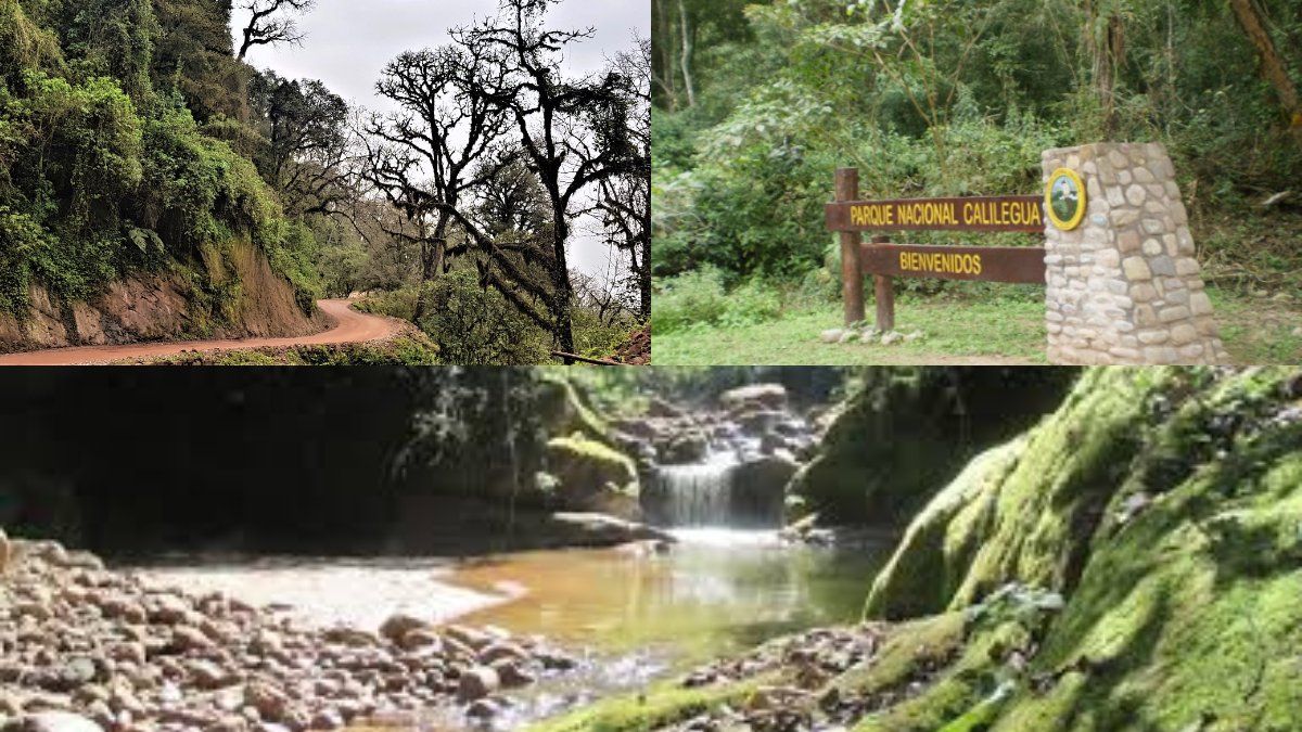 El Parque Nacional Calilegua cumplió 41 años