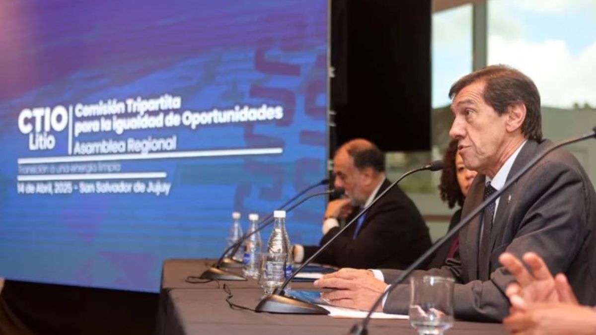 La polémica en Jujuy: Un paquete de privatización y la caja negra de JEMSE