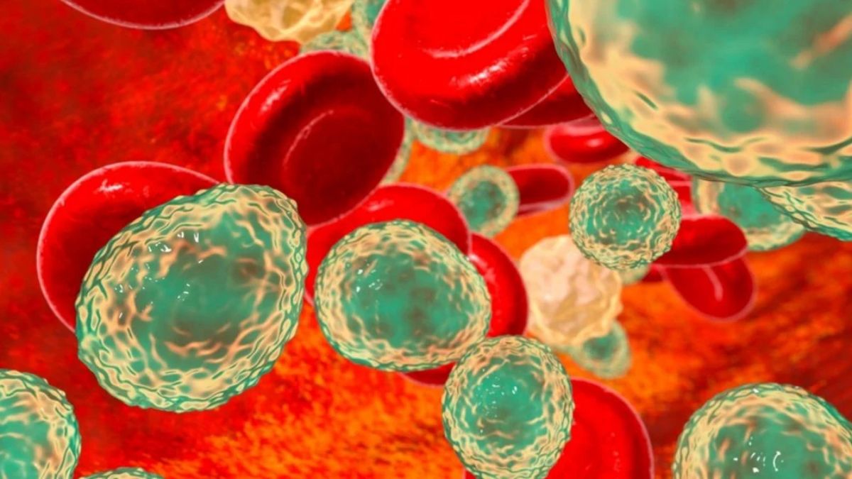 Detectaron dos casos de candida auris en Argentina: qué es y cómo actúa ...