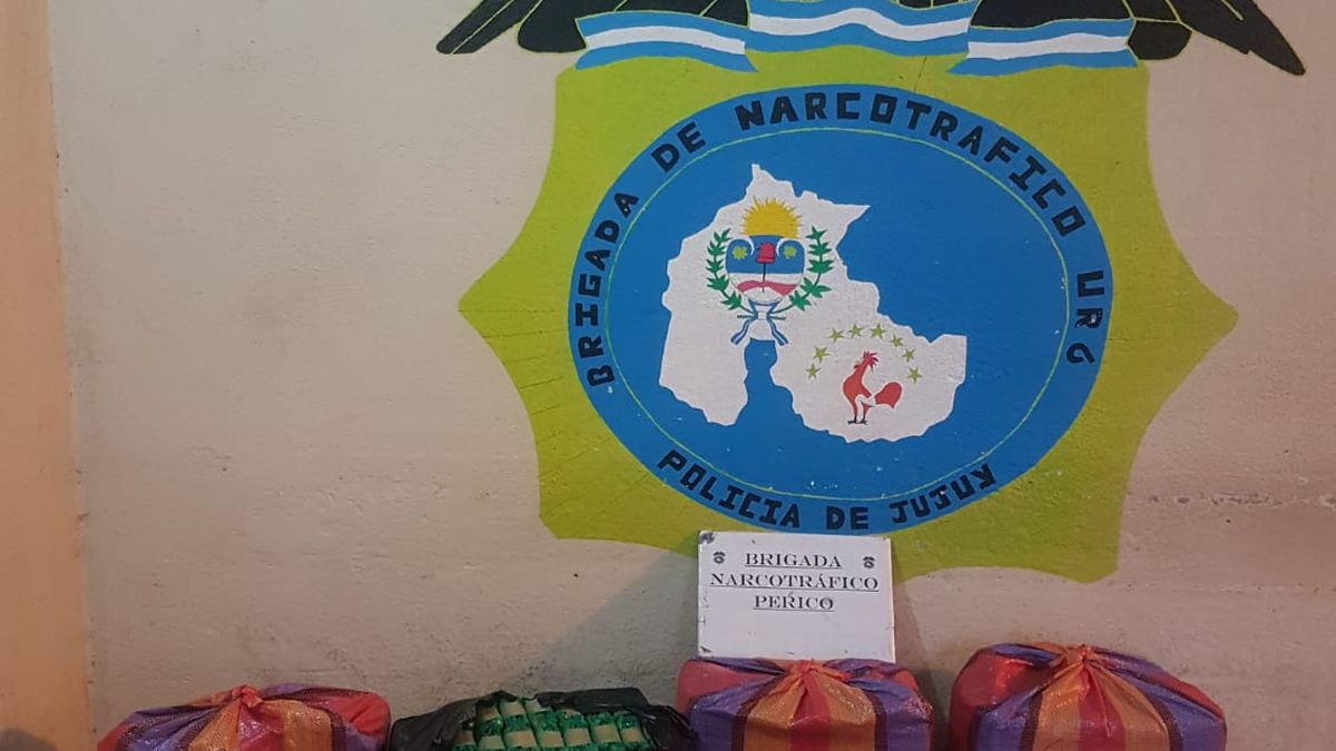 Secuestraron 100 kg de hojas de coca en Perico