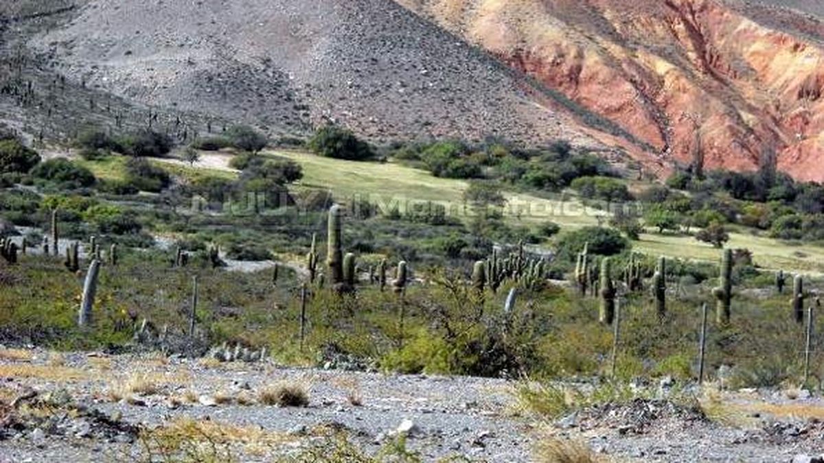 Se cumplen 10 años de la declaración de la Quebrada de Humahuaca como ...