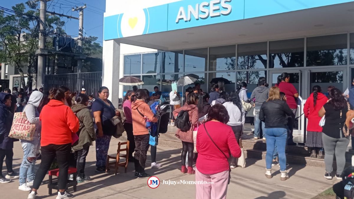 ¿Estás sin trabajo? Estos son los programas de ANSES a los que podés ...
