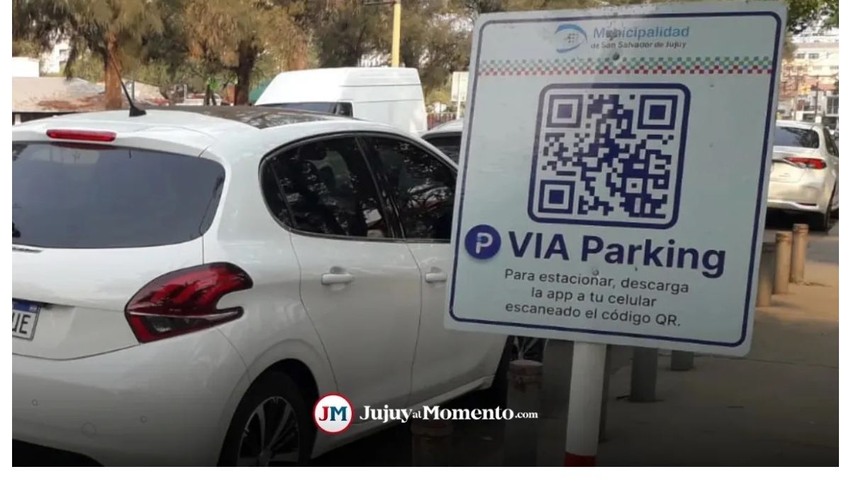 La Aplicación Vía Parking tiene una recaudación de $200 millones, según ...