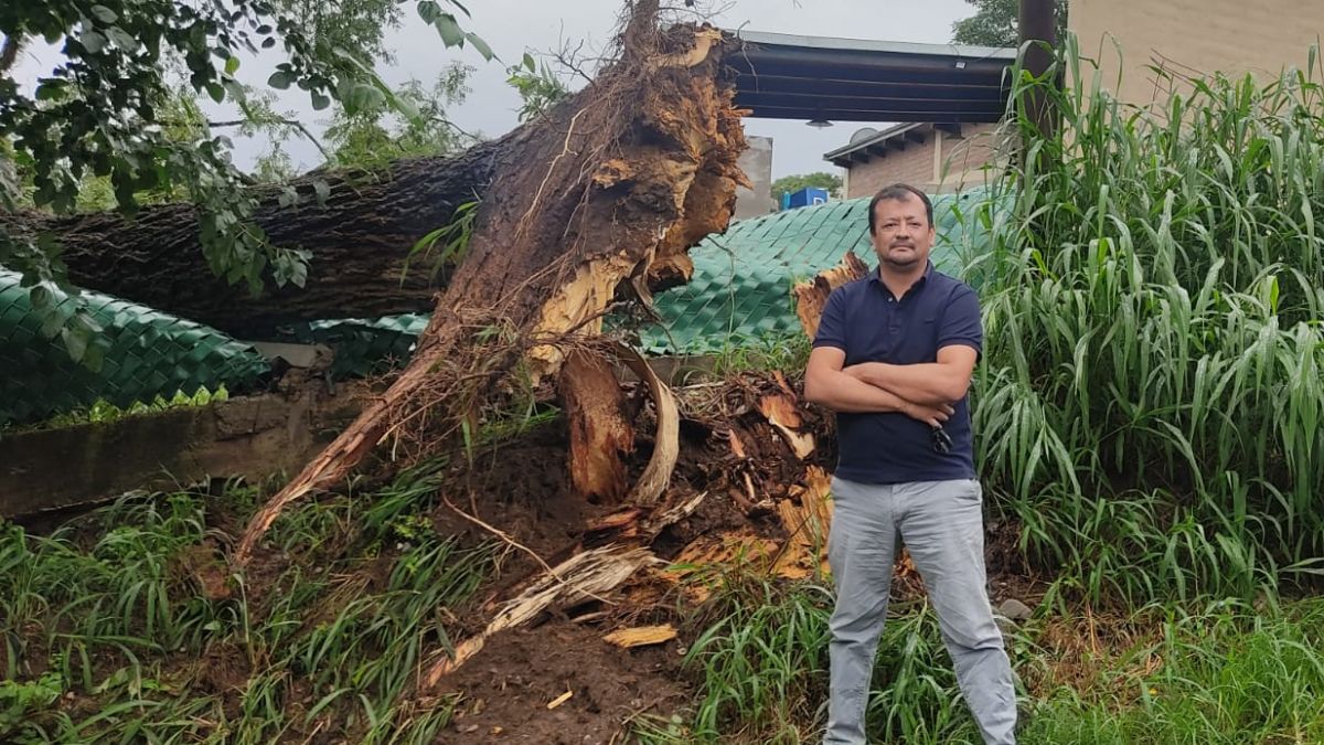 Pidió que podaran un árbol, nadie lo hizo y la tormenta lo tiro sobre ...