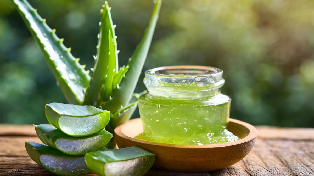 Los once beneficios del té de aloe vera