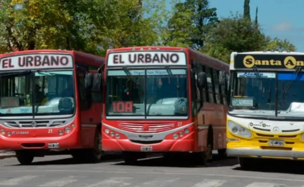 Polémica licitación del transporte: incertidumbre, malestar y reclamo ...