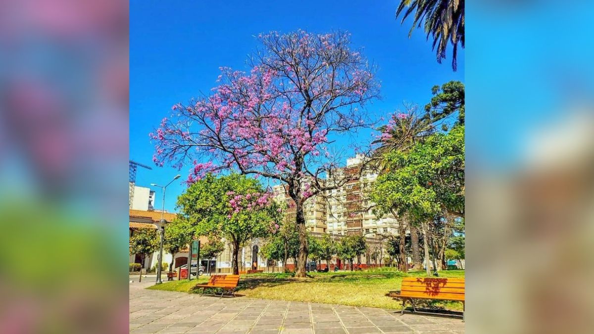 Oficialmente comenzó la Primavera 2024