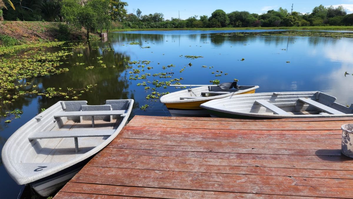 Botes y kayaks, una propuesta diferente para disfrutar en Perico