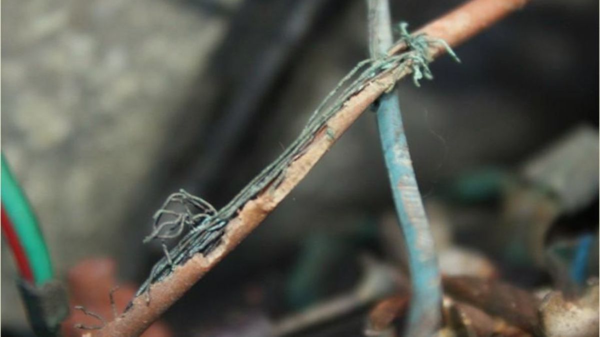 Cables pelados en un poste de una plaza: Una niña de 5 años recibió una descarga eléctrica