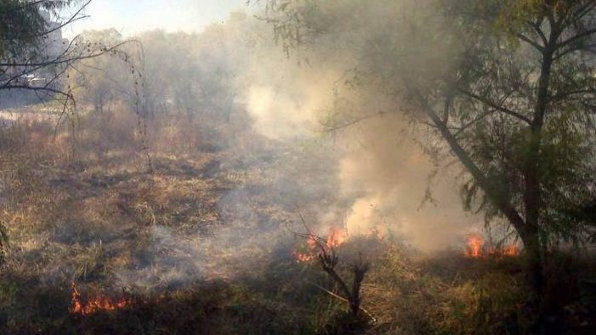 Importantes focos de incendio en Forestal y en el Parque Nacional Calilegua