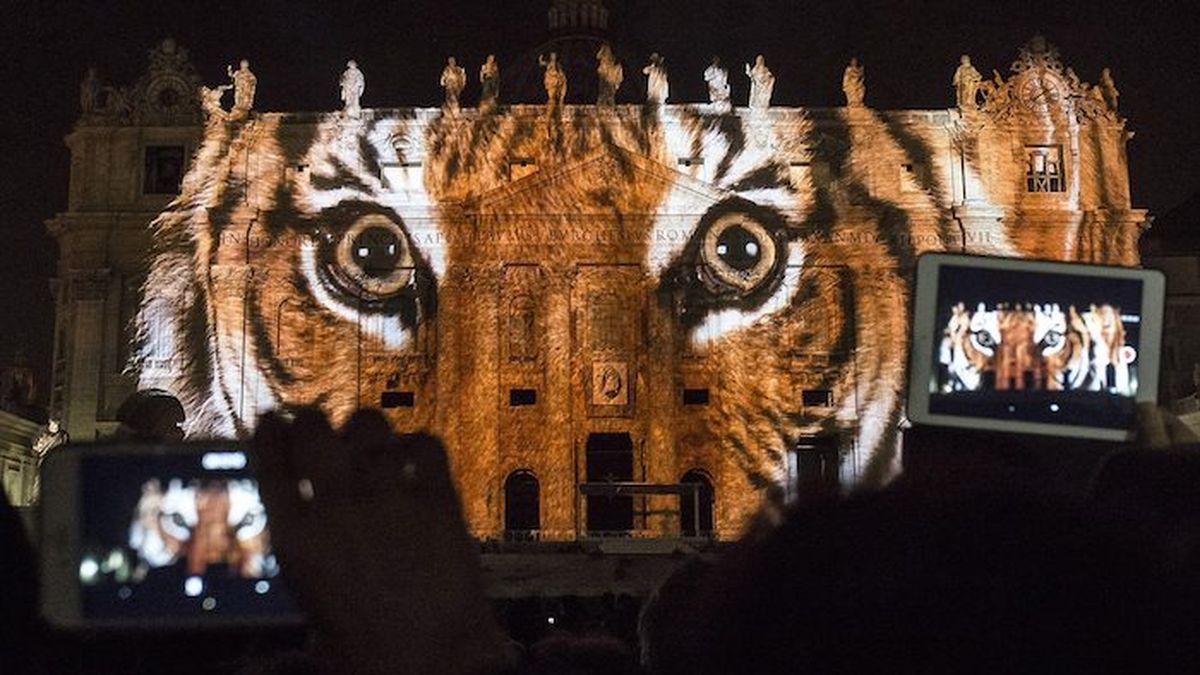 La fachada del Vaticano se llenó de luz y color por el medio ambiente