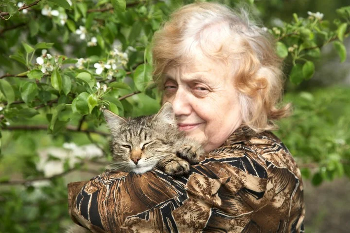 Perros y gatos en geriátricos, ¿por qué no?