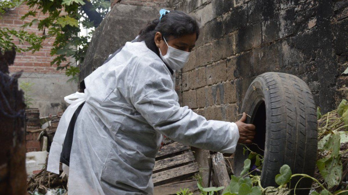 Últimas noticias sobre El Chingo