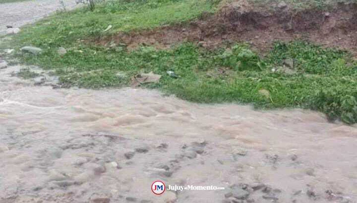 Sector B5 de Alto Comedero: vivir entre el río y la selva