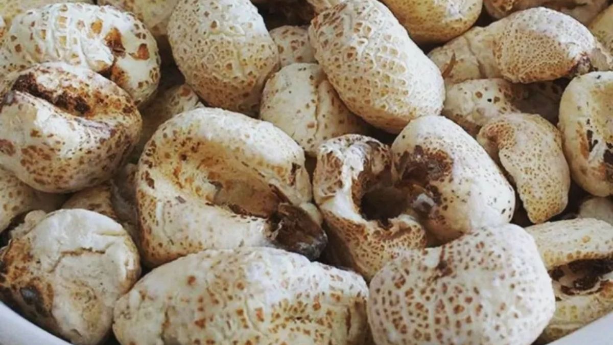 Video viral: Un usuario compartió cómo se fabrican las tutucas y ...