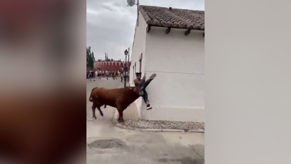 Adolescente grababa una corrida de toros, se distrajo con el celular y ...