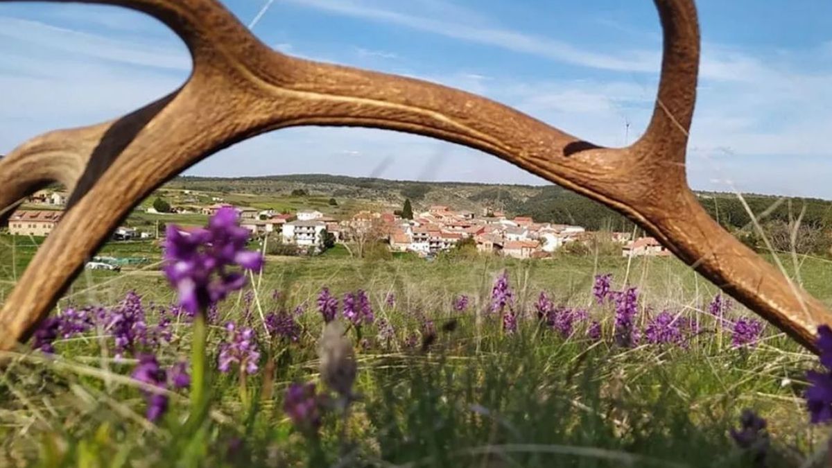 Griegos, el pueblo español que ofrece trabajo y alquiler gratis a familias