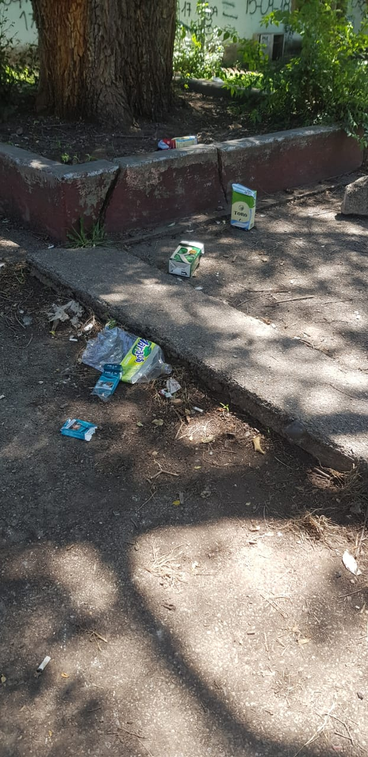 Se adueñaron del lugar, dicen los habitantes de Cuyaya sobre jóvenes y ...