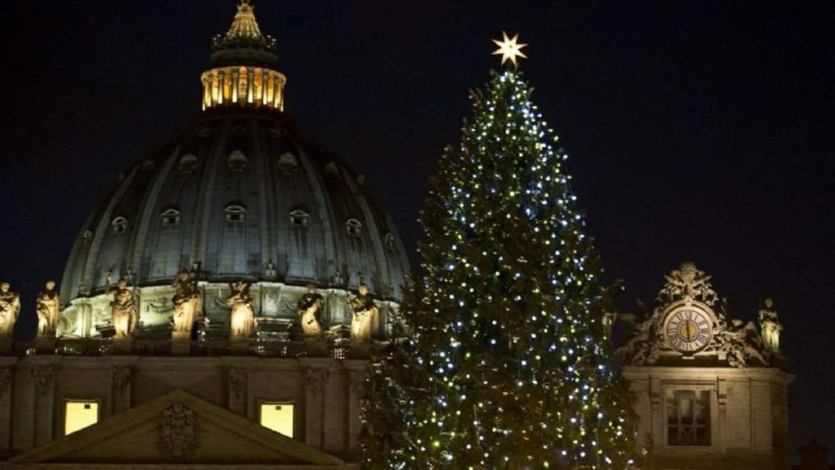 Cómo es el imponente árbol de Navidad del Vaticano
