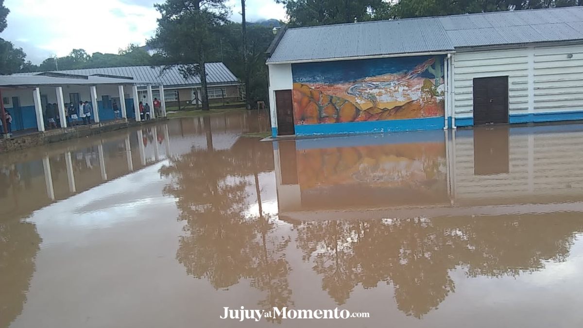 Temporal: impactante imagen de una escuela inundada en Lozano