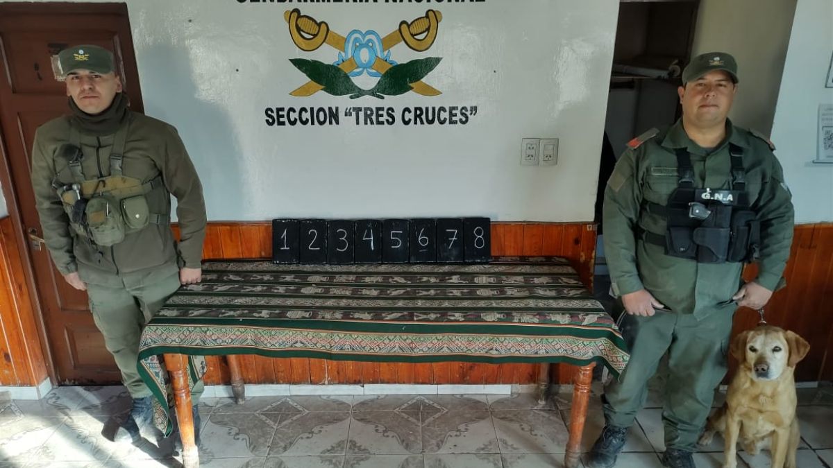 La Quiaca: un perro antinarcóticos halló casi 9 kilos de cocaína ...