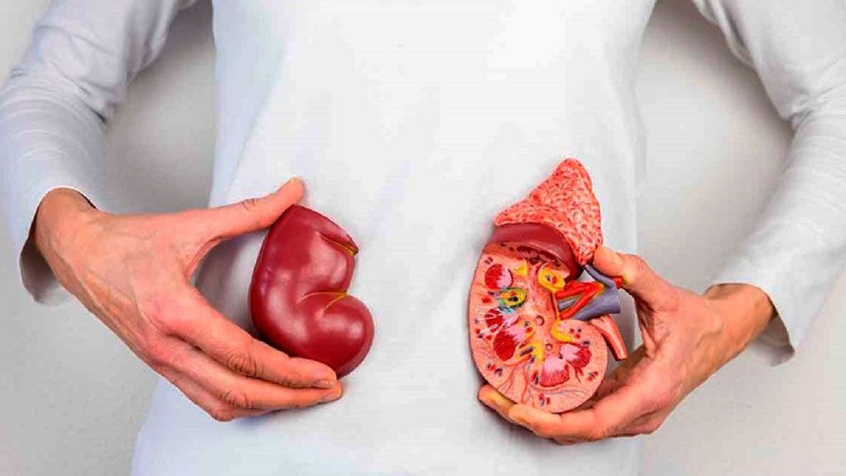 Día Mundial del Riñón: la importancia de prevenir