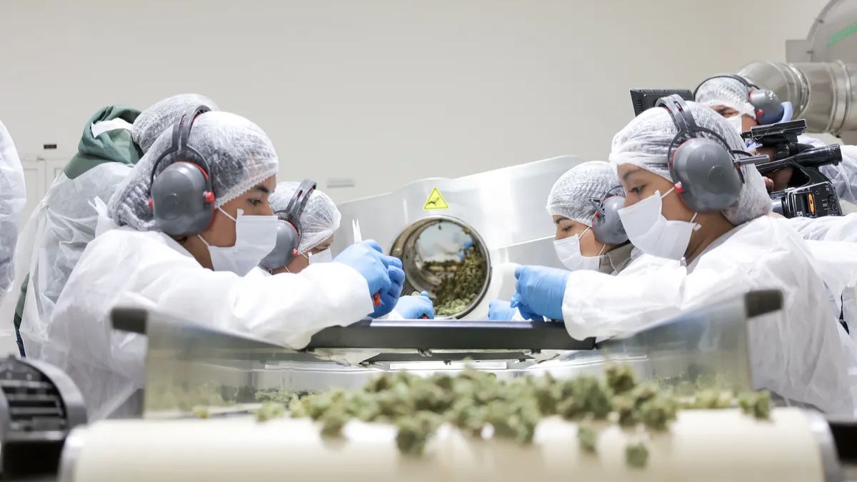 Abogado local denuncia que CANNAVA consolida su narco negocio