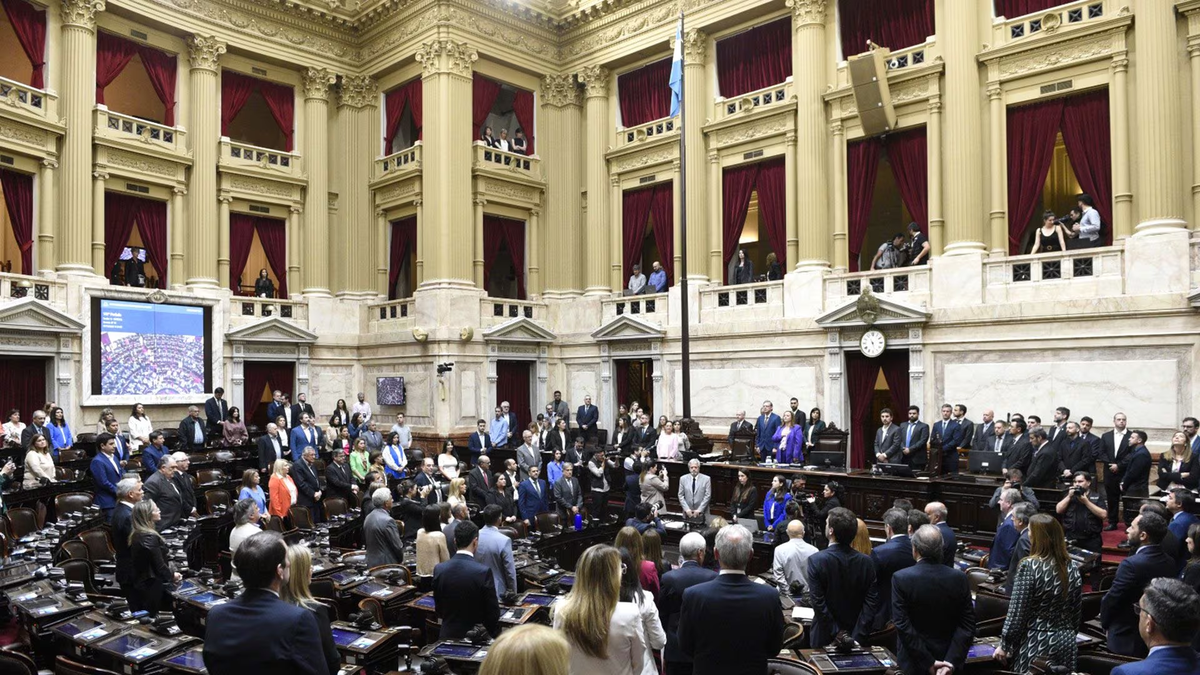 Juraron Los Senadores Y Diputados Nacionales Quiénes Son Los