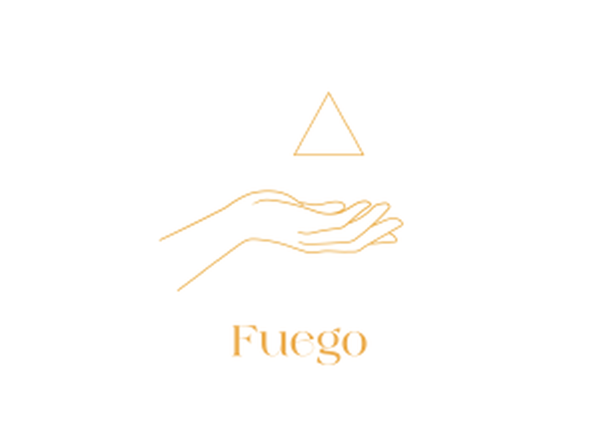 Los signos del zodiaco y sus elementos