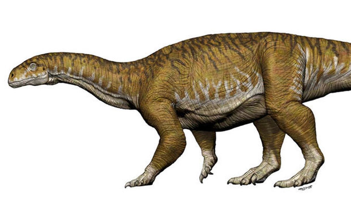 Ingentia Prima, el dinosaurio argentino más antiguo del mundo
