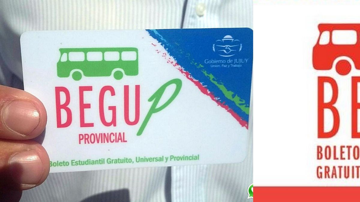 ¿Cuáles son las diferencias entre el BEGU y el BEGUP?