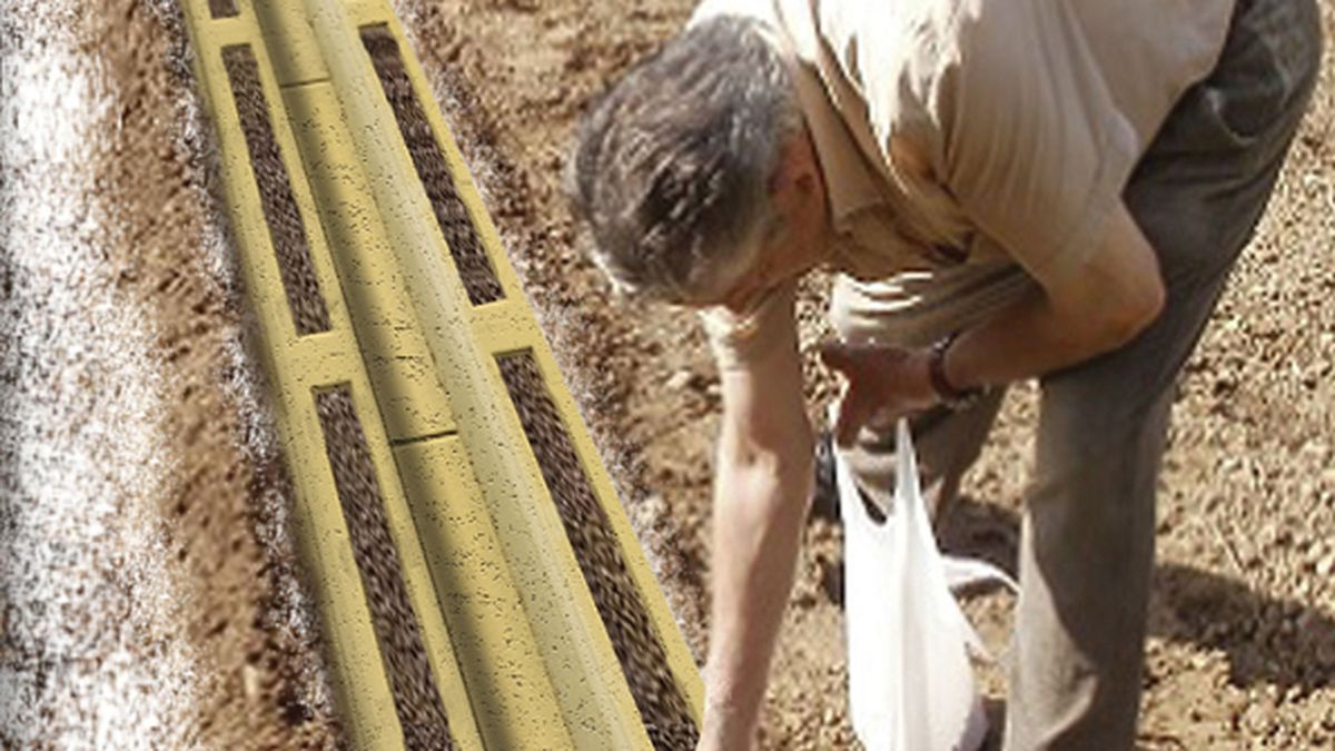 Crearon un surco de cultivo a partir de residuos biodegradables