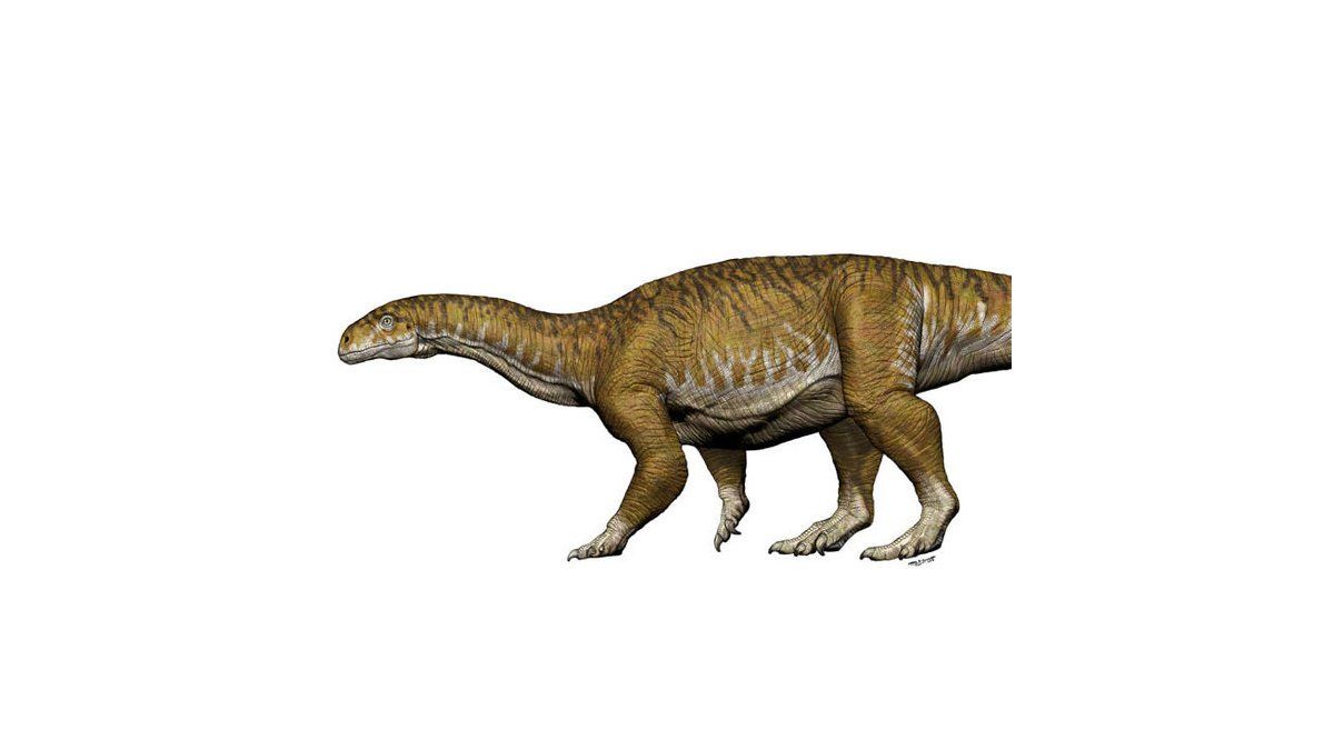 Ingentia Prima, el dinosaurio argentino más antiguo del mundo
