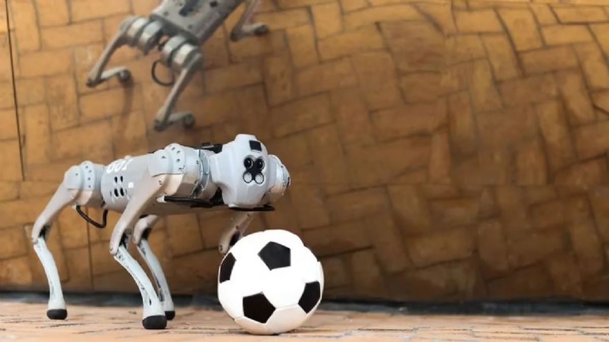 Conoce a DribbleBot, el perro robot que puede jugar al fútbol y ...