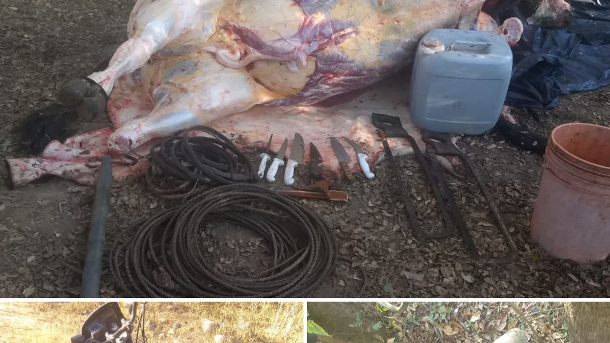 4 sujetos detenidos por faenar un animal vacuno en la zona de Los Huaicos