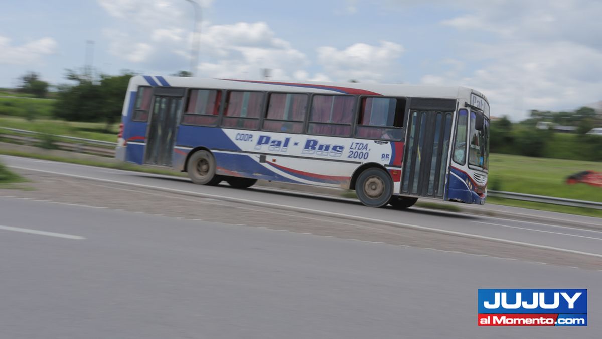 ¡Atención! Sin colectivos de la empresa Pal Bus