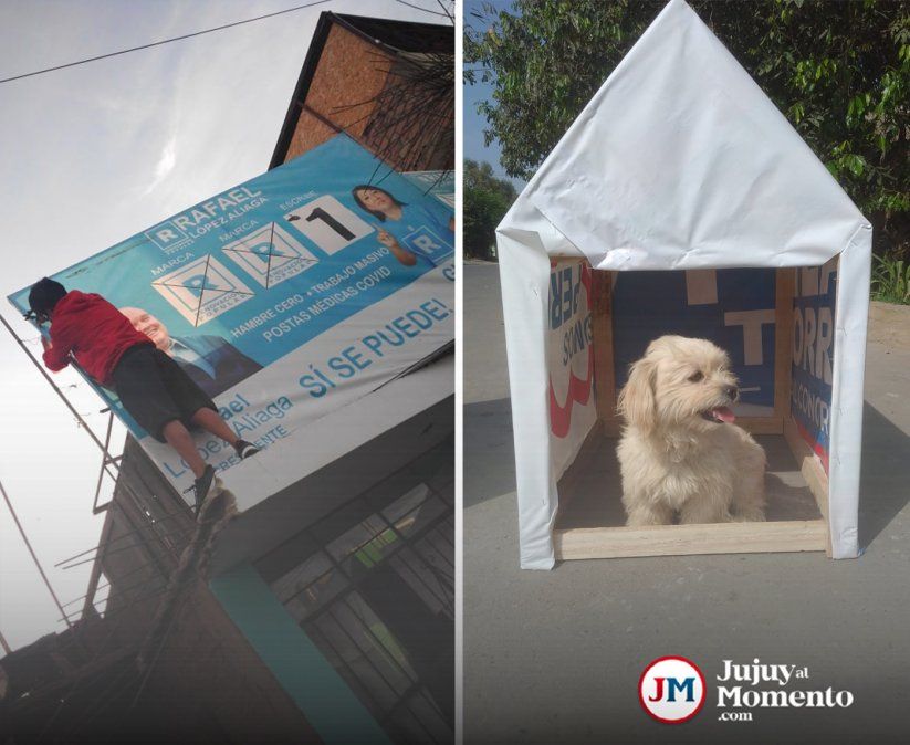 Crean casas para perritos abandonados con propaganda política
