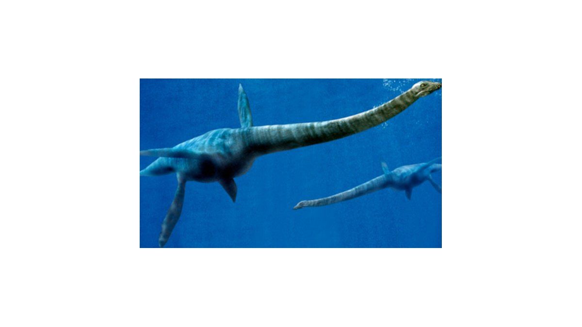 Encuentran una nueva especie de plesiosaurio en la Antártida