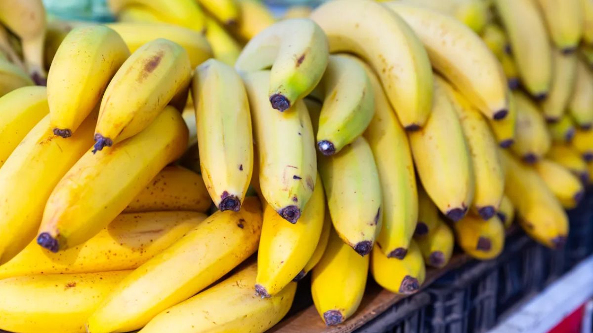 La banana jujeña en su peor momento: escasea y además está muy cara
